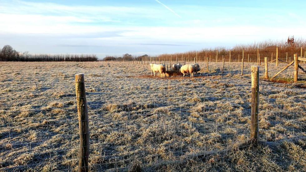 Gallery | Heathfield Farm