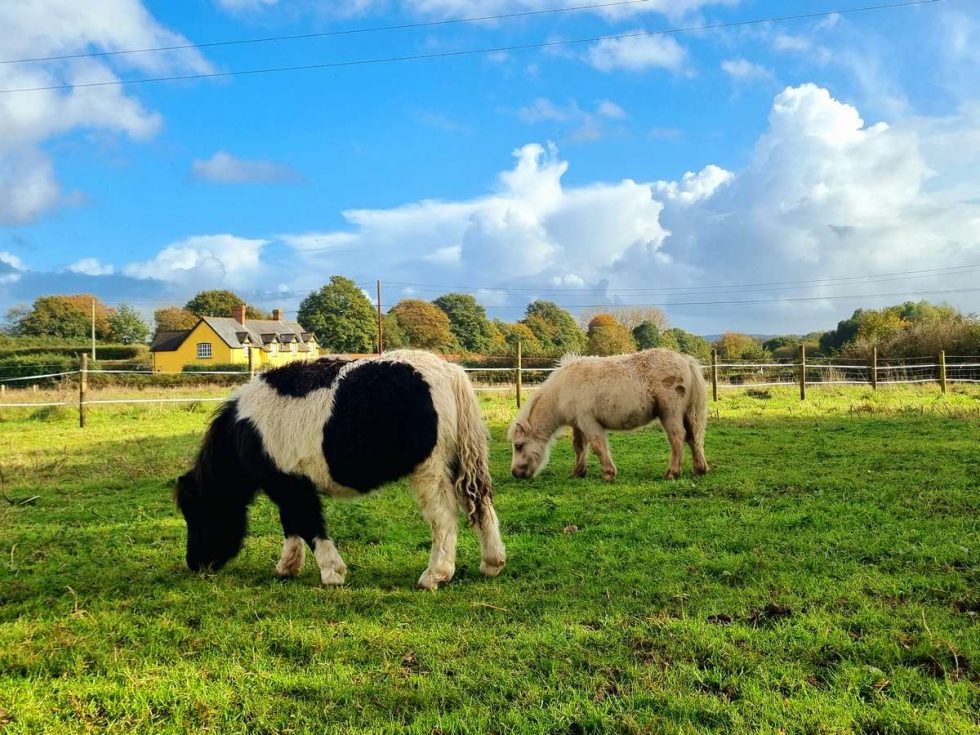 Gallery | Heathfield Farm