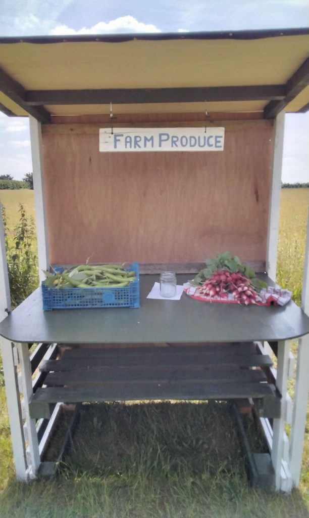 Then & Now | About Us | Heathfield Farm