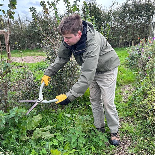 Activities | Heathfield Farm
