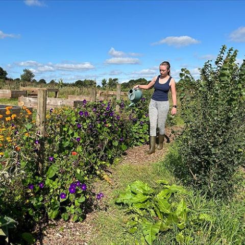 Activities | Heathfield Farm